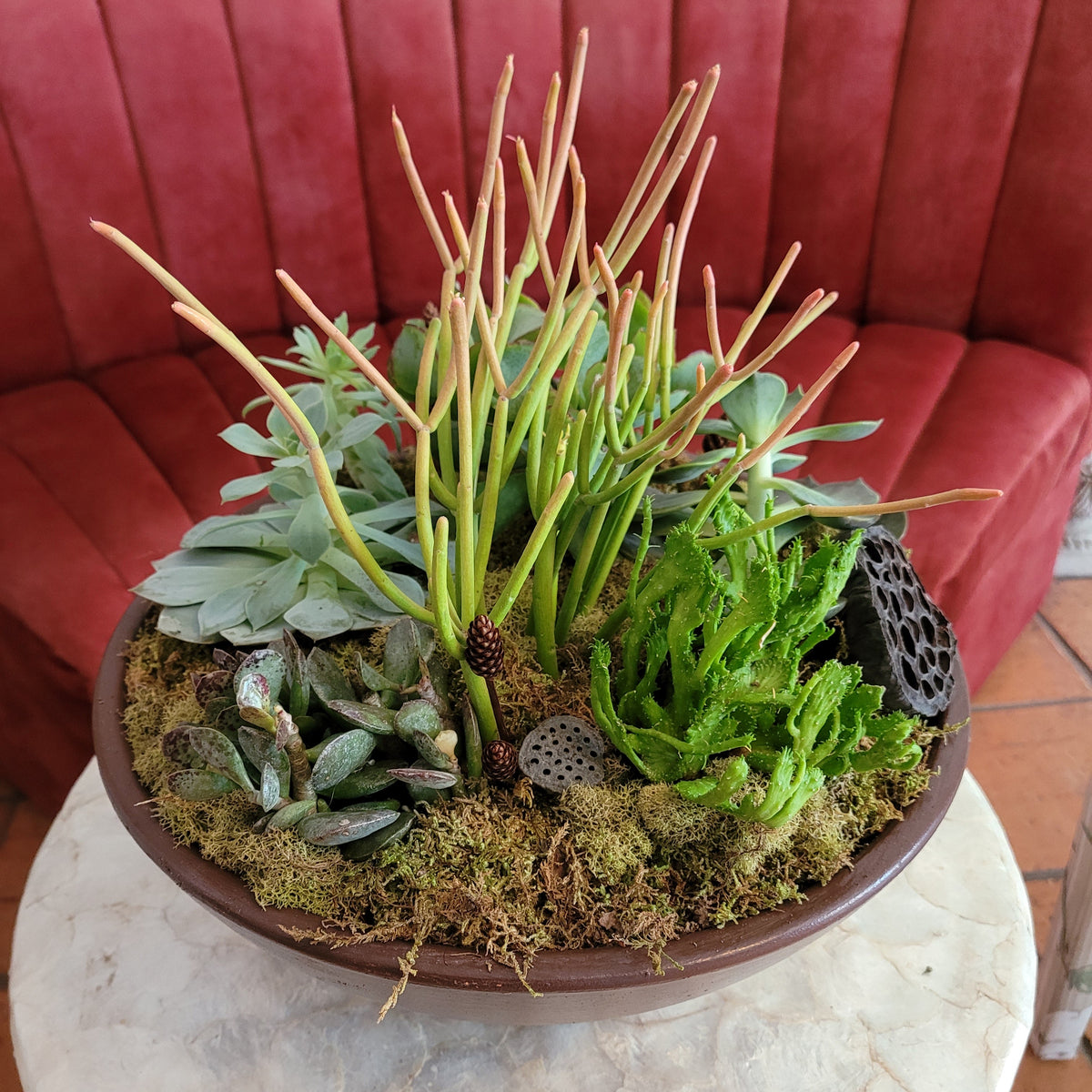 The Jagger – bergnerandjohnson