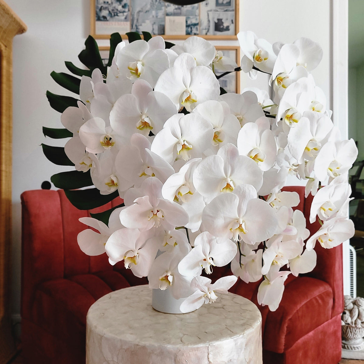 "Wonderwall" – bergnerandjohnson